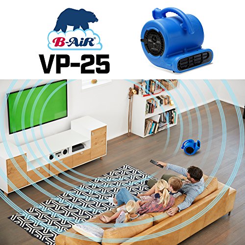 B-Air VP-25 1/4 HP 900 CFM Air Mover for Water Damage Restoration Equipment Carpet Dryer Floor Blower Fan Home and Plumbing Use, Blue