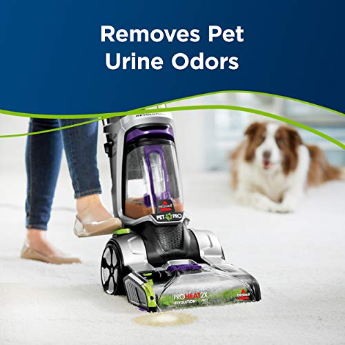 Bissell Professional Pet Urine Eliminator + Oxy Carpet Cleaning Formula, 48 oz, 1990, 48 Ounce