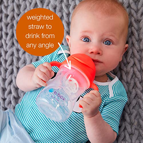 b.box Sippy Cup with Fliptop Straw, Drink from any Angle | Weighted Straw, Spill Proof, Leak Proof & Easy Grip | BPA Free, Dishwasher safe | For Babies 6m+ to Toddlers (Pistachio, 8 oz)