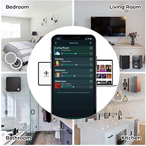 Arylic A50+ WiFi & Bluetooth Home Amplifier,TPA3116 with 50+50W 24V DC/2.0 Stereo Channel,Airplay 1 DLNA,Multiroom/multizone Sync, HiFi Audio Streaming Integrated for Speakers