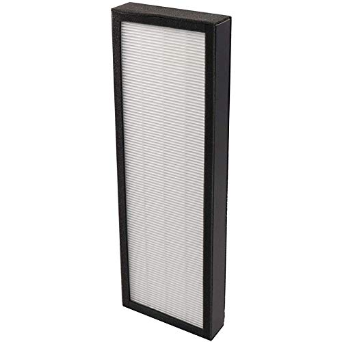FedFilter FLT4825 HEPA Replacement Filter B Compatible with GermGuardian AC4300BPTCA AC4300WPT AC4900CA AC4825 AC4825W AC4825DLX AC4850PT CDAP4500BCA CDAP4500WCA AP2200CA BXAP148,1 Count (Pack of 1)