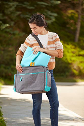Fisher-Price Fold & Go Portable Gym