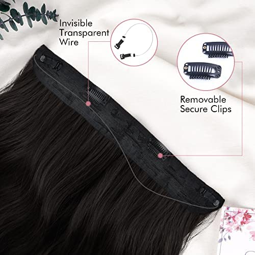 REECHO Invisible Wire Hair Extensions with Transparent Headband Adjustable Size Removable Secure Clips in Curly Wavy Secret Hairpiece for Women 20 Inch - Dark Chocolate Brown with Golden blonde mixed