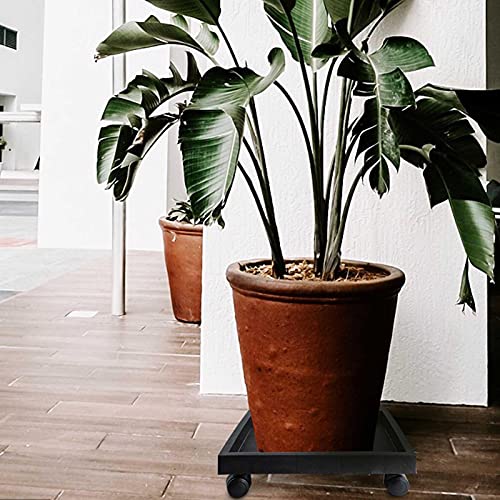 BAODAN Plant Caddy with Wheels, Plant Trolley, Plant Dolly Heavy Duty, Square Movable Plant Roller, Toughened Resin Plant Pallet Caster, 9.45x9.45x3.35in, Black