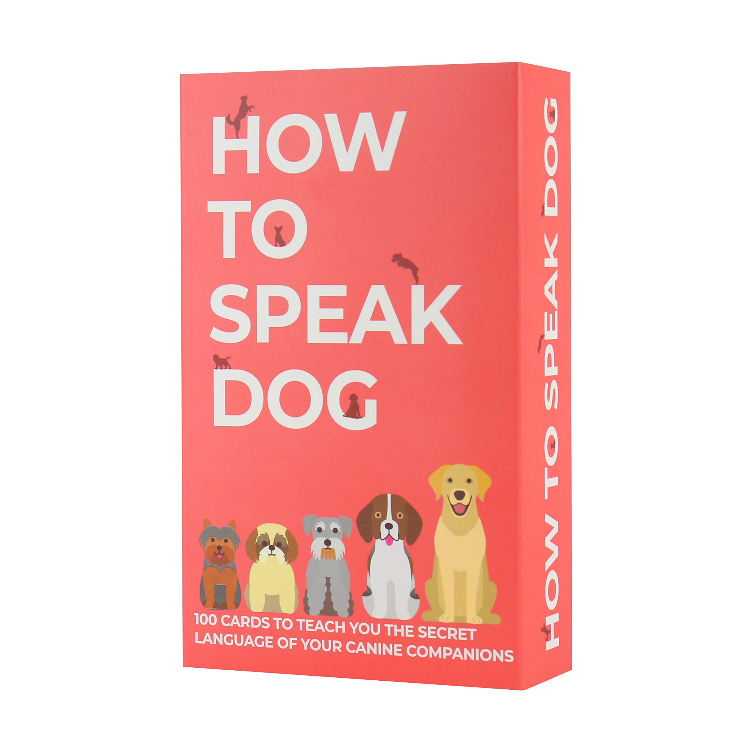 Gift Republic How To Speak Dog 100 Cards Fun Gift for Dog Lovers Learn What Your Puppy is Saying Dog Behaviour Guidance Cards Doggie Language