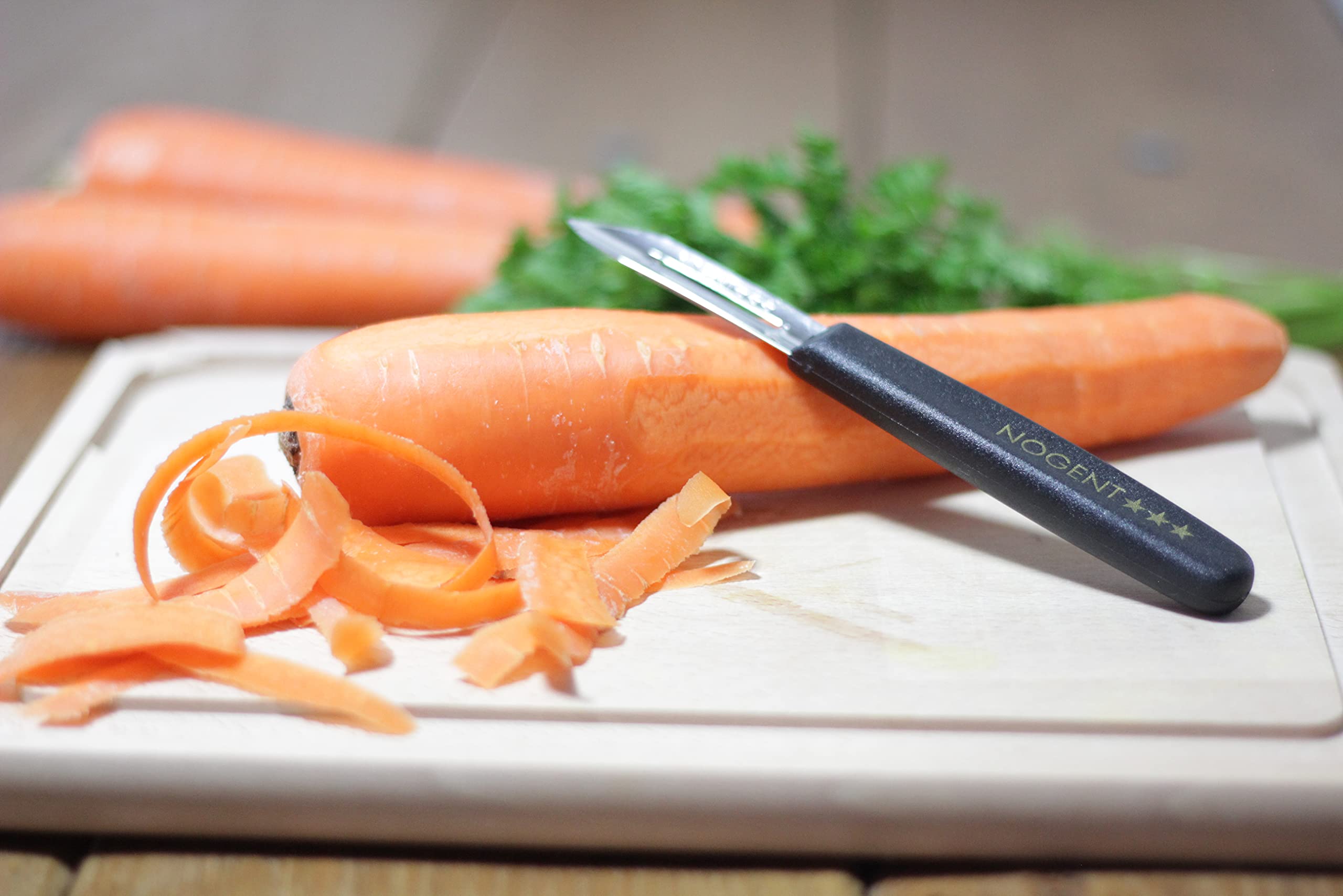 Nogent Les Basiques pour ma cuisine - Expert Set Affidenté