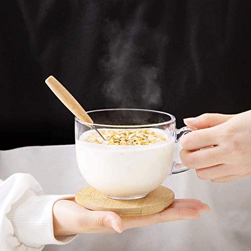 PARACITY Glass Cup 15OZ Clear Coffee Mug with Lids Spoon for Breakfast Tea,Milk,Beverage,Oats,yoghurt