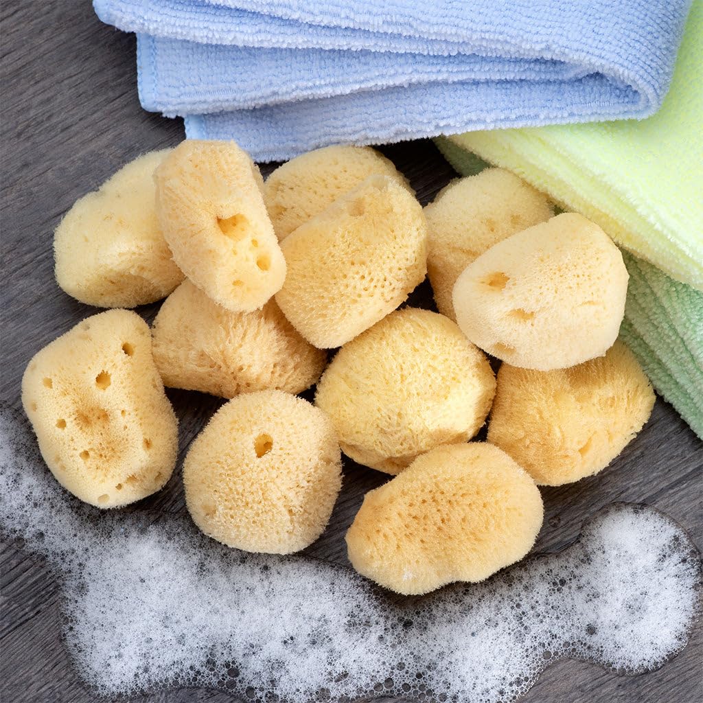 Neptune Natural Sea Soft Silk Sponge - for Cosmetic Use, Art, Facial Cleansing 12pk, 1-1.5 inches