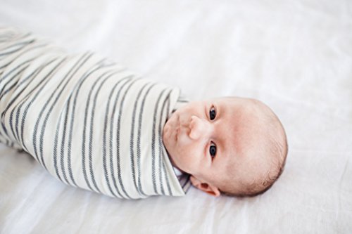 Copper Pearl Large Premium Knit Baby Swaddle Receiving Blanket Midtown