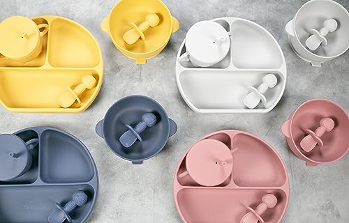 BabyBeesKnees Baby led weaning supplies-complete starter set-Silicone feeding set-suction bowl space saving suction plate self feeding spoons-easy to use solid food eating set 6+months (Dusty Rose)