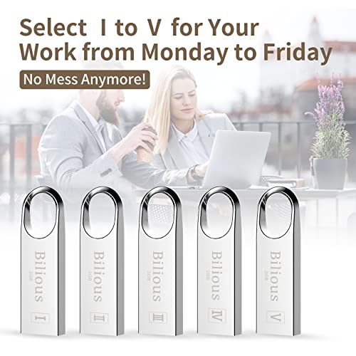 USB Flash Drive, Bilious Portable Keychain Design Thumb Drives, Metal Style Memory Stick U Disk, Waterproof Jump Pen Drive for Storage and Backup (64GB, 5 Pack)