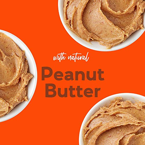 Buddy Biscuits Oven Baked Treats with Peanut Butter, Whole Grain - 16 oz. - Single Box (12500_Single)