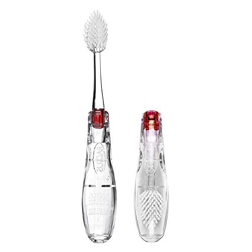 RADIUS Tour Travel Brush & Case With Replaceable Brush Head ADA Accepted Toothbrush Improve Gum Health - Red - Pack of 1