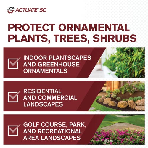 Actuate SC Bifenazate Miticide (8 oz) by Atticus (Compare to Floramite) β Long Lasting Mite Control in Interior and Exterior Landscapes