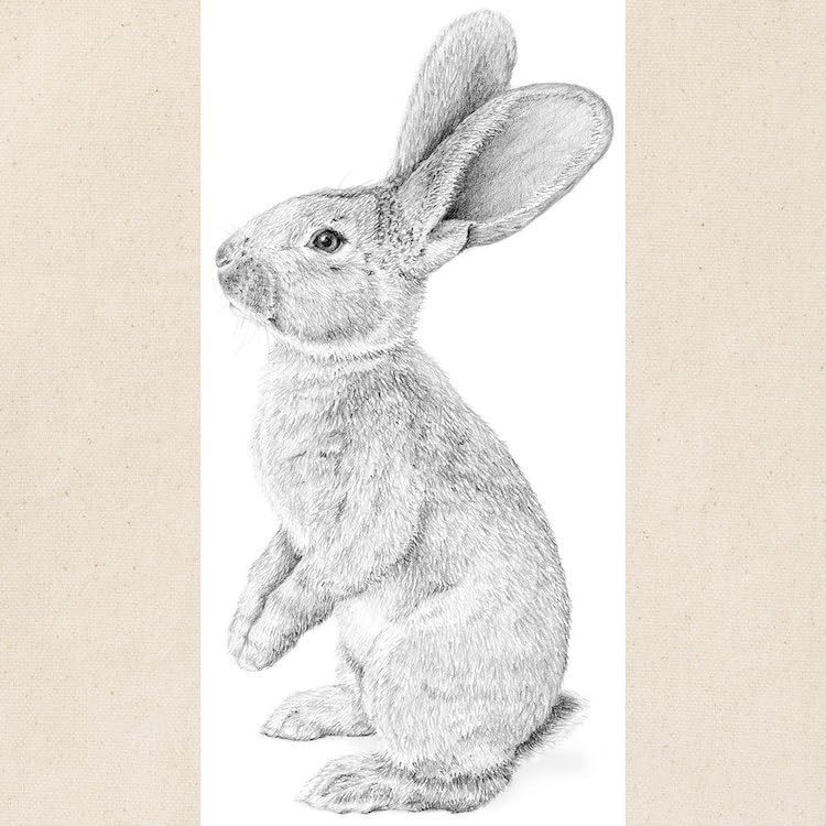 CafePress Giant Rabbit Tote Bag Natural Canvas Tote Bag, Reusable Shopping Bag