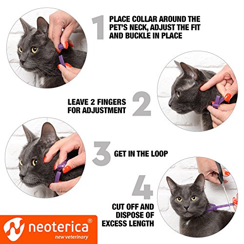 Cat Calming Collar & Pet Anti Anxiety Products - Feline Calm Pheromones Collars & Cats Stress Relief - Relaxivet Comfort Helps with Pee, New Zone, Aggression, Fighting with Dogs & Other Behavior