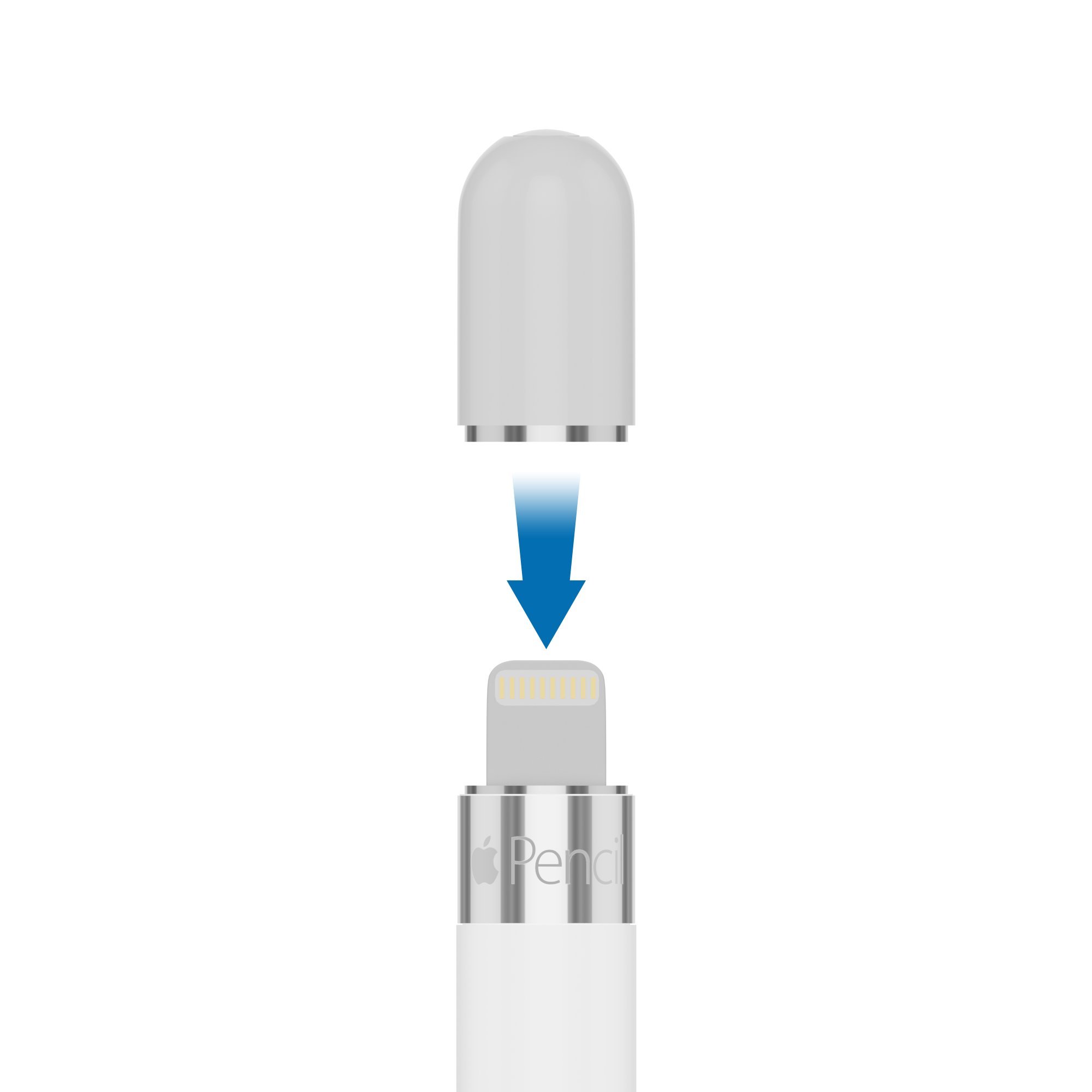 TechMatte Magnetic Replacement Cap and Charging Adapter (Female to Female Connector) Compatible with Apple Pencil 1st Generation (Bundle)