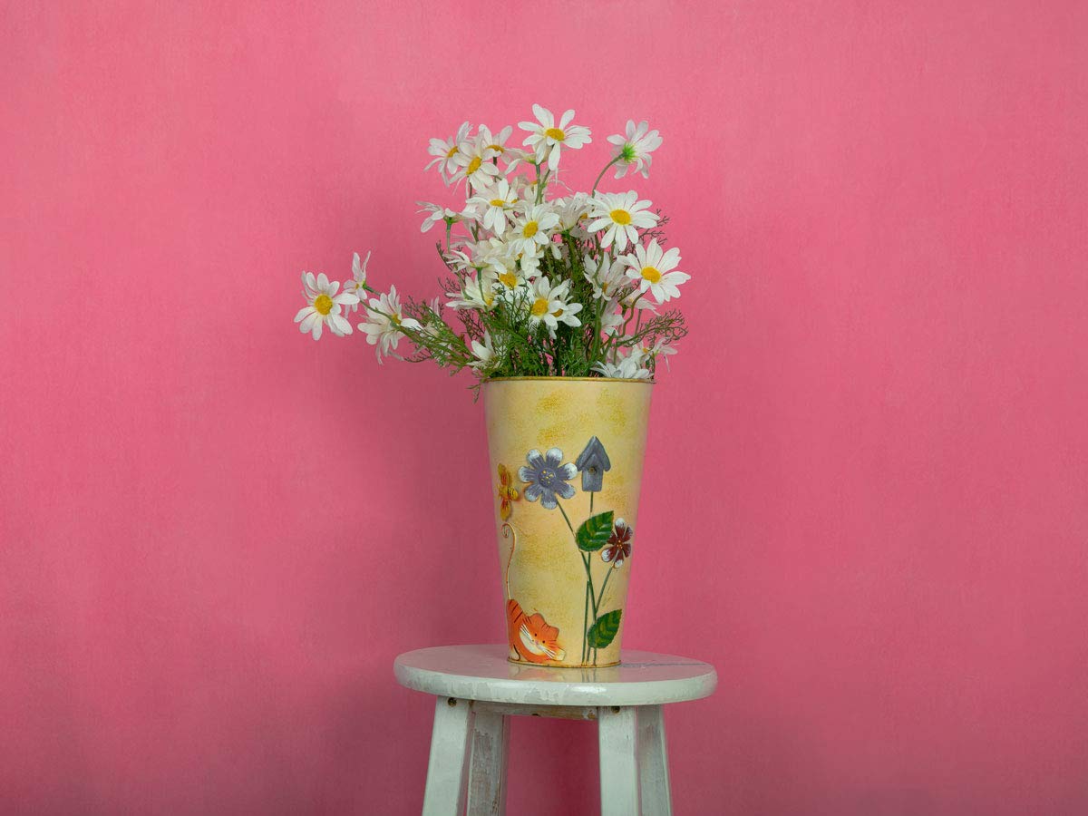 Kate 6ft×9ft Solid Pink Backdrop Portrait Background for Photography Studio