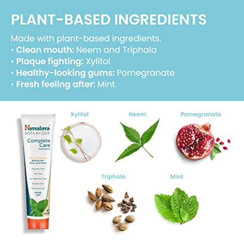 Himalaya Botanique Complete Care Toothpaste, Simply Mint, Fluoride Free Plaque Reducer for Brighter Teeth and Fresh Breath, 5.29 oz, 2 Pack