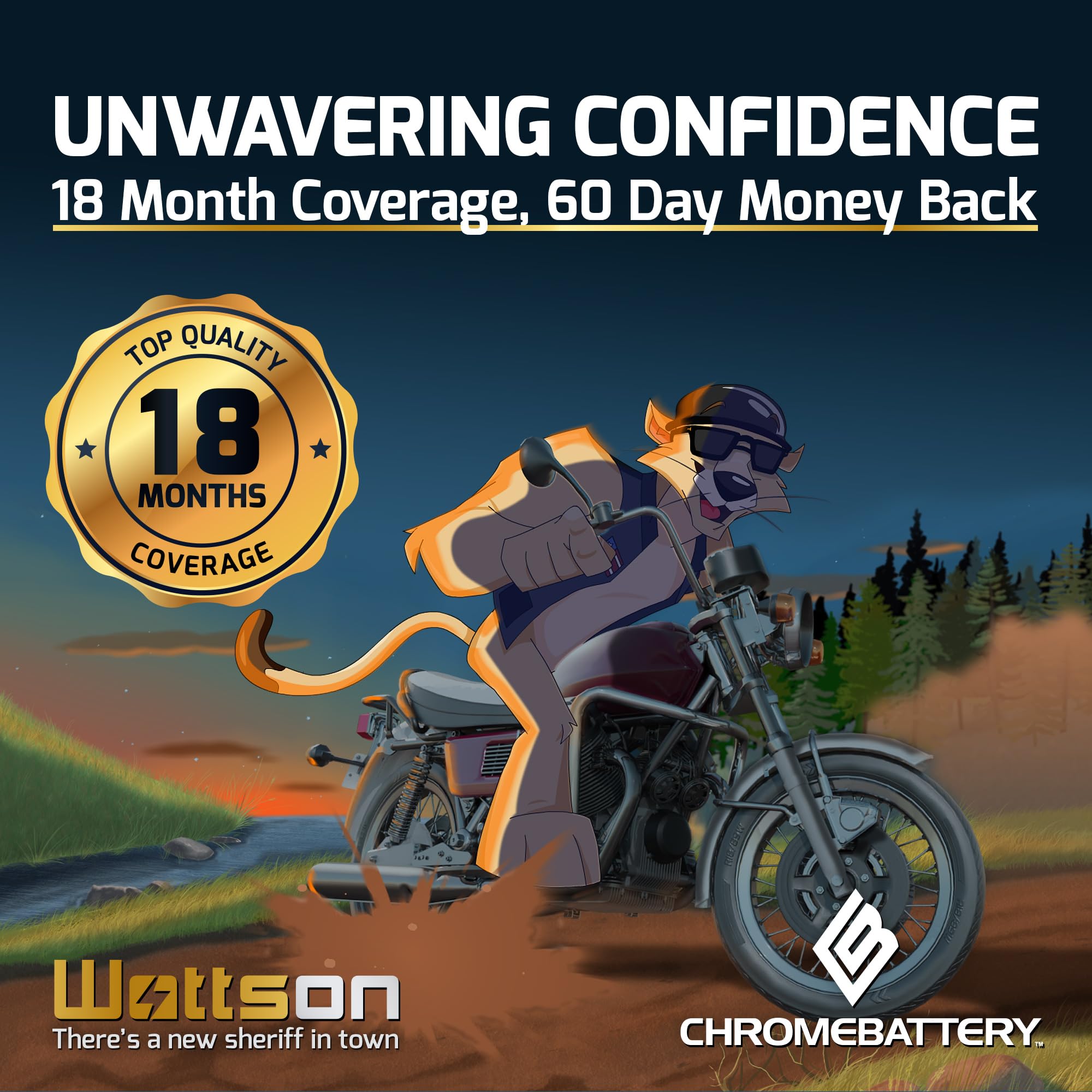 Chrome Battery 12V 12AH Maintenance-Free Battery for Alarm Systems, Scooters, Toys, Emergency Lights, and More - Nut and Bolt (T3) Terminal 2 Pack