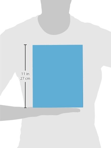 Crossbow Education: Monitor Overlay 19inch - Sky