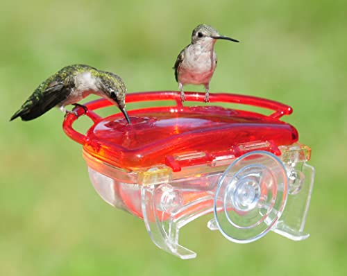 Aspects ASPECTS437 The Gem Window Hummingbird Feeder
