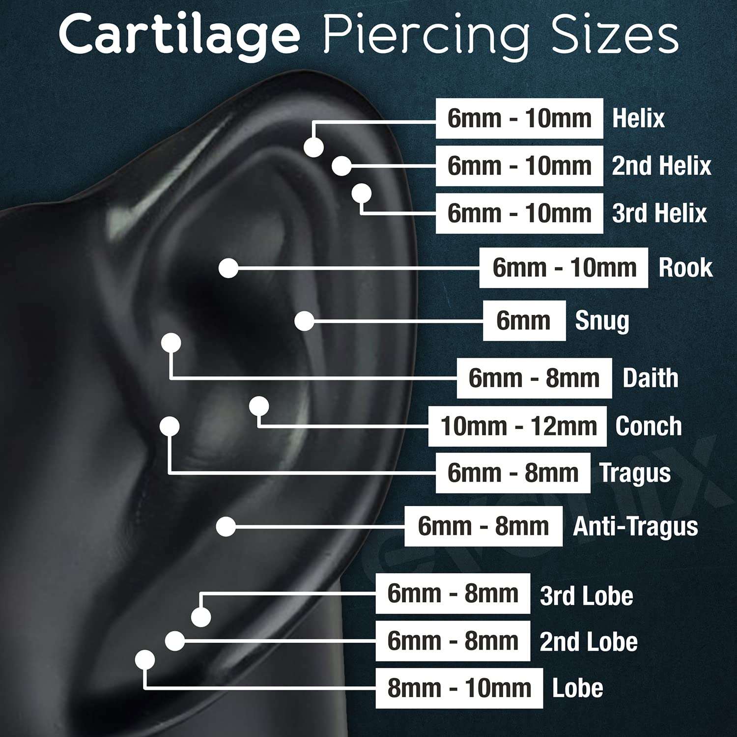 2pc 18g Septum Horseshoe Earrings - Circular Barbell Rings 18 Gauge Cartilage Daith Tragus 8mm - Clear Retainer