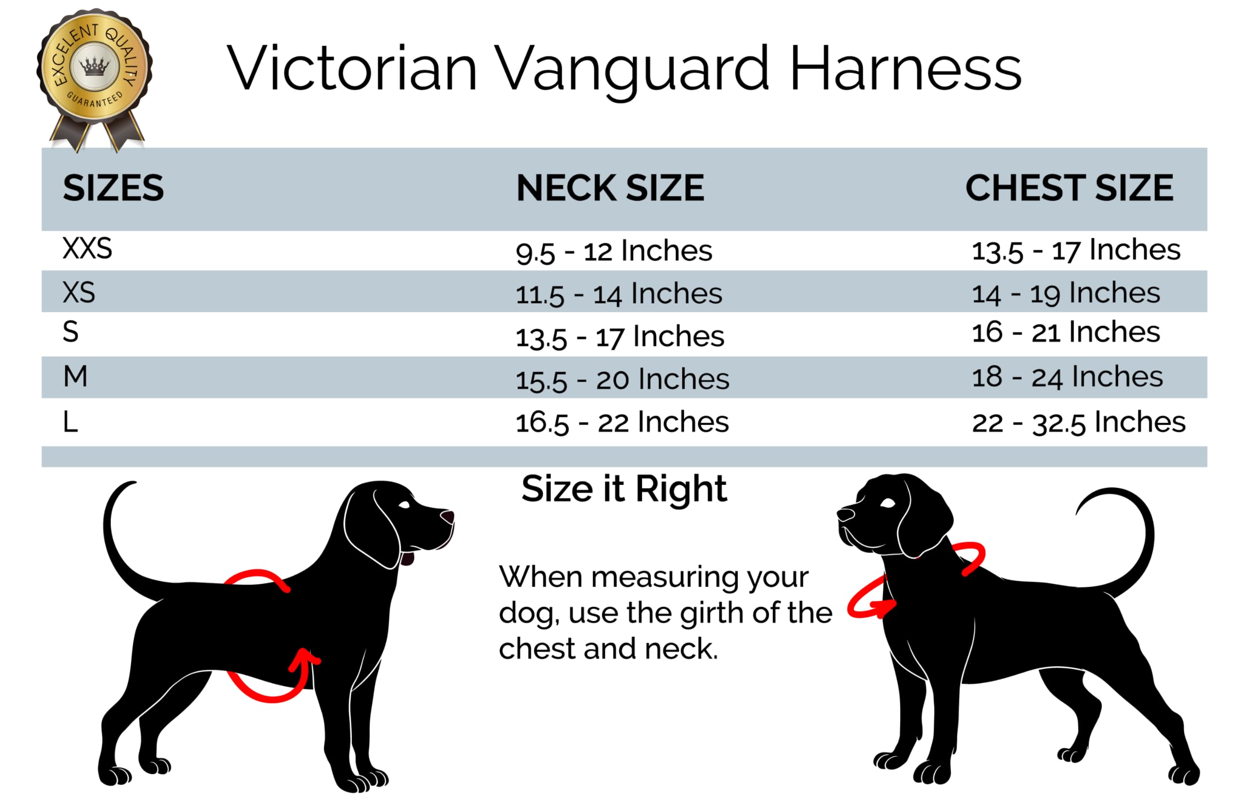Victorian Vanguard Harness (XX Small, Blue Denim). Stylish Denim Dog Harness, Collar & Leash Set with Bowtie - Adjustable Pet Walking Accessory for Small & Medium Dogs