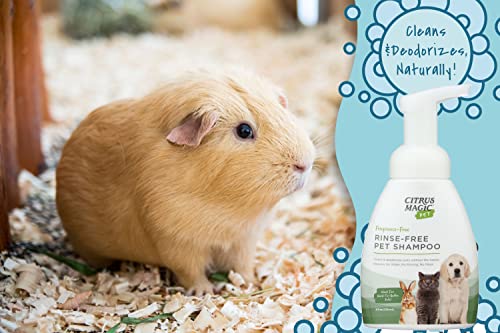 Citrus Magic Pet Foaming Pet Cleanser, 8-Fluid Ounce