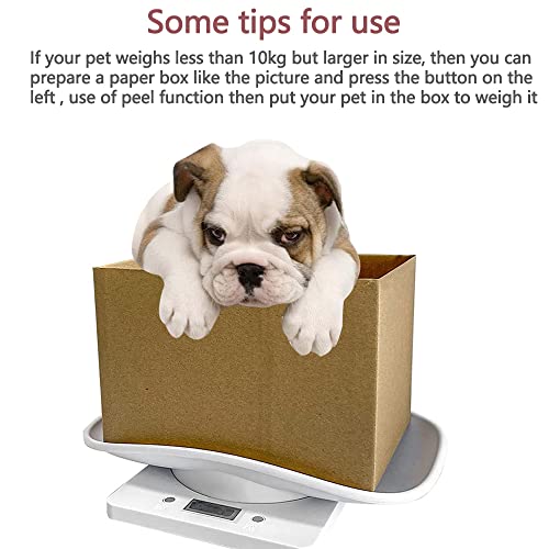 BIGNADO Digital Puppy Scale Small Pet Scale for Puppies High Precision Wiggle-Proof Multi-Function Electronic Kitten Scales Weigh Rabbit or Puppy Mini Gram Weight for Newborn Pets, 11.6''*7.3''