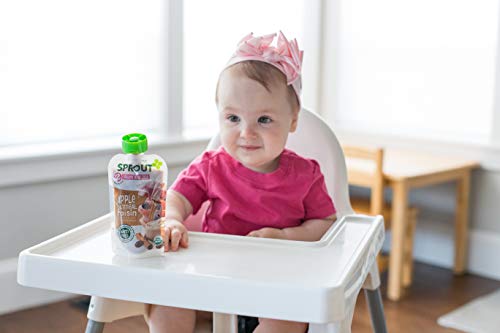 Sprout Organic Stage 2 Baby Food Pouches, Apple Oatmeal Raisin with Cinnamon, 3.5 Ounce (Pack of 6)