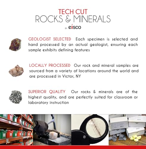 EISCO 12PK Raw Limestone Chalk, Sedimentary Rock Specimens - Approx. 1" - Geologist Selected & Hand Processed - Great for Science Classrooms - Class Pack Labs