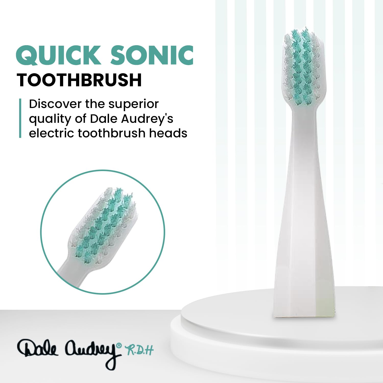 Dale Audrey Ayurvedic Quick Sonic Toothbrush Head Replacement for Adults | DailyClean Toothbrush | (2 Count)