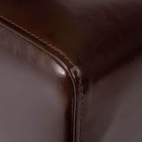 Christopher Knight Home Emilia Chocolate Brown Leather Dining Chairs (Set of 2)