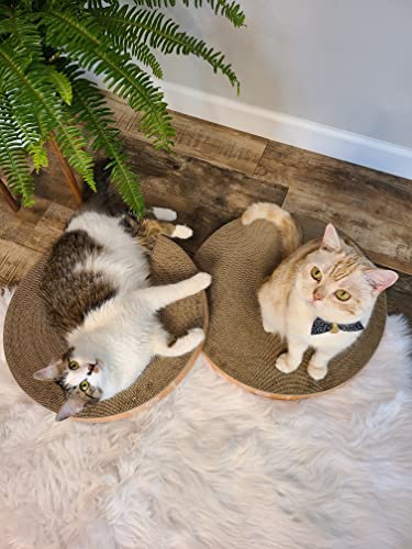 Cozy Cat Scratcher Bowl Replacement Pad (2 Pack), 100% Recycled Paper, Chemical-Free Materials (Regular, Oak)