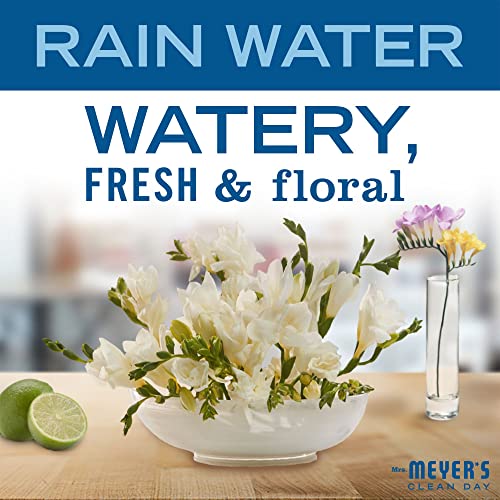 Mrs. Meyer's Moisturizing Body Wash for Women and Men, Biodegradable Shower Gel Formula Made with Essential Oils, Rain Water, 16 oz Bottle, Pack of 3