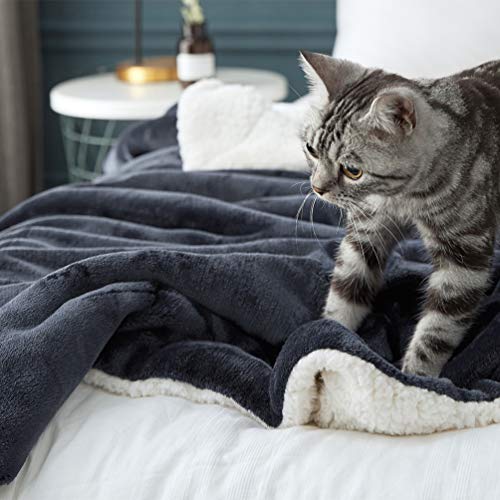 LBRO2M Sherpa Fleece Bed Blanket Queen Size Super Soft Fuzzy Plush Warm Cozy Fluffy Microfiber Couch Throw Velvet Double Reversible Luxurious Blankets,Dark Grey