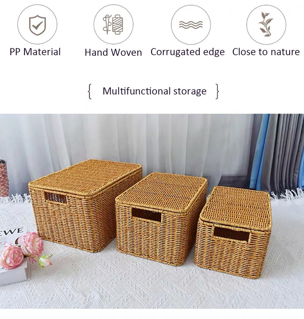 RT&BS Set of 3 Wicker Storage Basket with Lid, Handwoven Storage Basket Box - Organizer for Toys Books Fruits Stationery