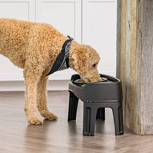 IRIS USA Large Elevated Pet Feeder with Attachable Legs and 2 Stainless Steel Bowls, For Small to Large Dogs Cats with 2 Quart Bowls and 12"H Legs Raised Pet Feeding Station, Black