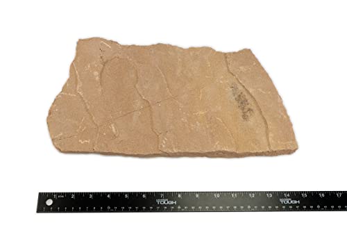 Carolina Custom Cages Natural Habitat Rocks, Painted Desert (one Large Size)