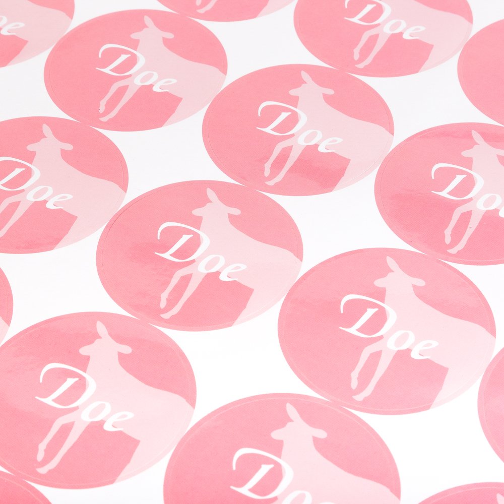 PROLOSO Baby Shower Gender Reveal Voting Board Team with Pink & Blue Stickers (Buck or Doe)