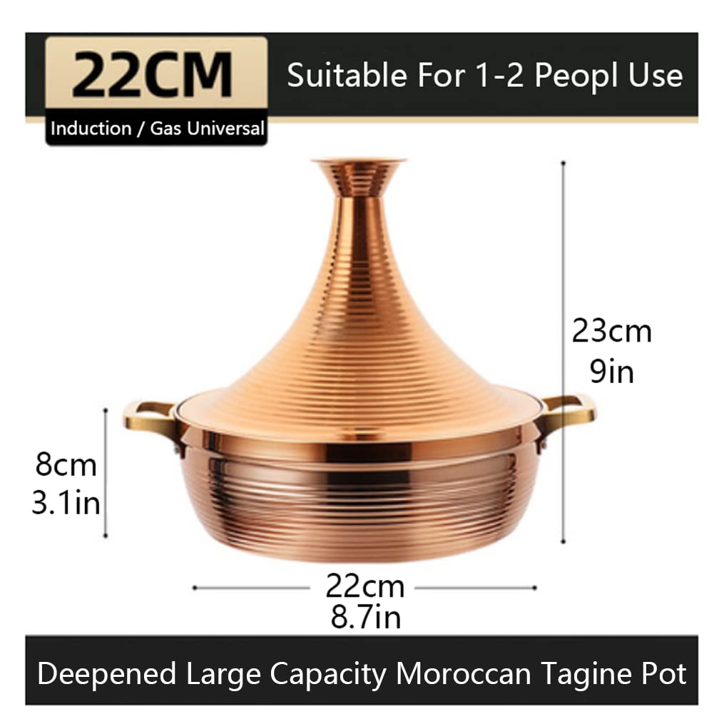 22cm Stainless Steel Tagine Pot Moroccan Tajine Cooking Cookware with Cone-Shaped Closed Lid for Stew Casserole Slow Cooker, 1-2 People Use