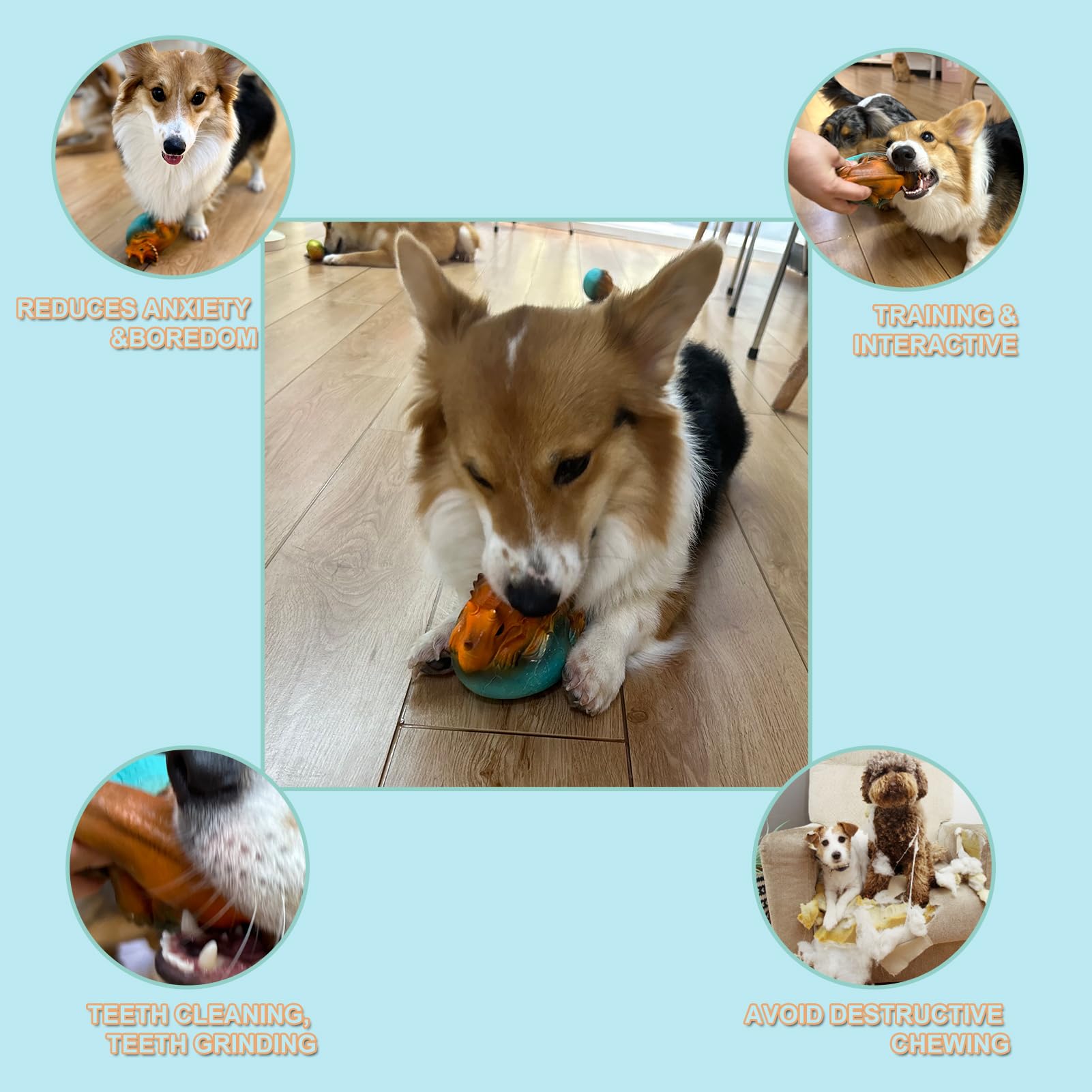 Jumbostone Squeaky Latex Dinosaur Egg Dog Toy, Soft Rubber Puppy Chew Squeaky Toys,Fetch Interactive Play Balls Toy for Puppy Small Medium Large Pets Dog