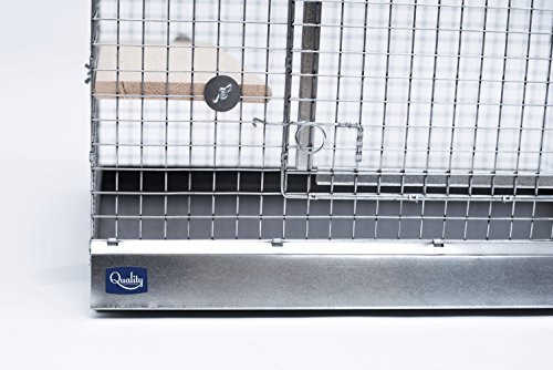 Chinchilla Mansion Chinchilla Cage, Handmade in USA, No Plastic, Built for Chinchillas by Chinchilla Owners, 48" Tall, 30" Wide, 24" Deep, Built to Last.