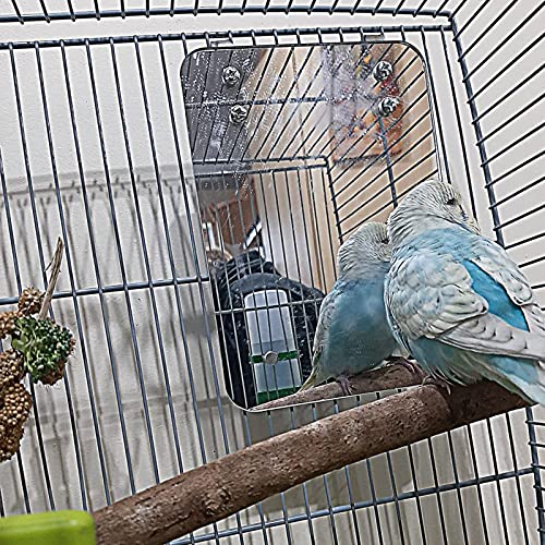 Bird Mirror for Cage with Parrot Rope Perch for Parakeet/Budgerigar/Lovebird/Canaries Stand