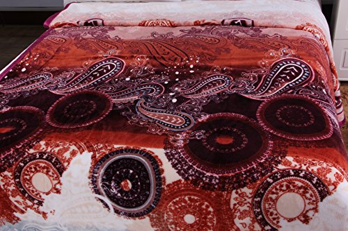 DaDa Bedding Flannel Faux Mink Fleece Throw Blanket - Bohemian Paisley Dreams Silky Soft - Bright Vibrant Floral - Multi Colorful Red Burgundy & Blue - 66" x 90"