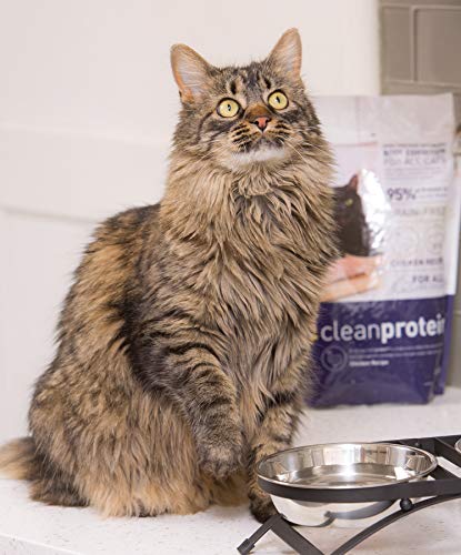 Dr. Elsey's Cleanprotein Chicken Formula Dry Cat Food, 6.6 Lb