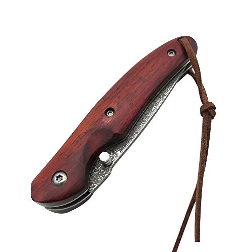 ALBATROSS HGDK004 Awesome EDC Damascus Pocket Folding Knife lanyard, Rosewood Handle, Gifts/Collections