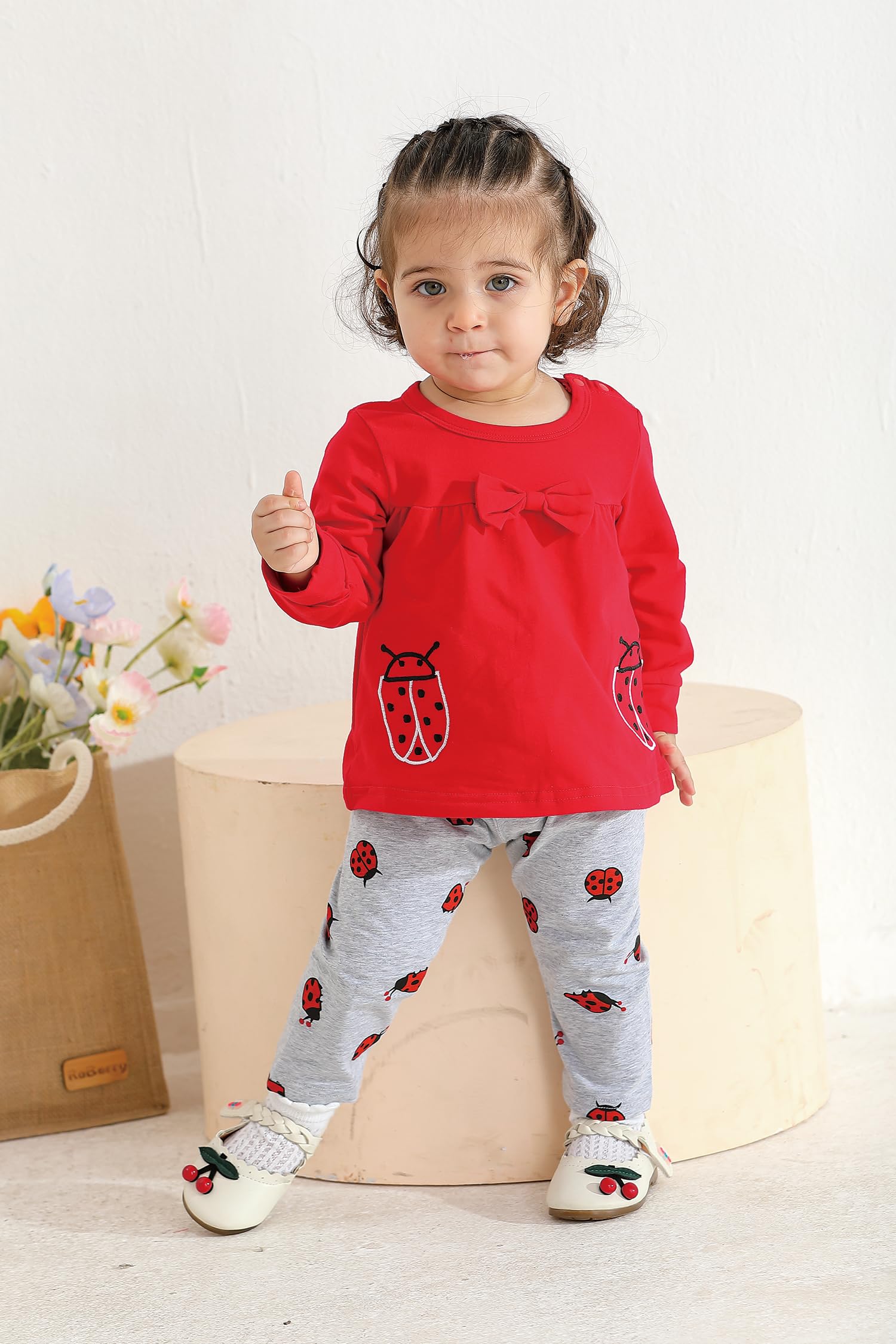 Eghunooy Baby Girls Clothes Set 2 Piece Long Sleeve Ladybug Pattern Infant Outfits (18-24 Months) Red