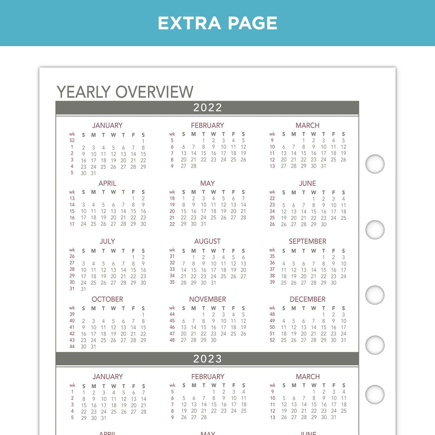 2022 Monthly Planner Refill by AT-A-GLANCE, 12024 Day-Timer, 5-1/2" x 8-1/2", Size 4, Desk Size, Loose-Leaf (061-685Y)